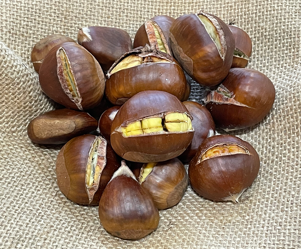 Seattle Roasted Chestnuts - Amaguri - Nature's Harvest